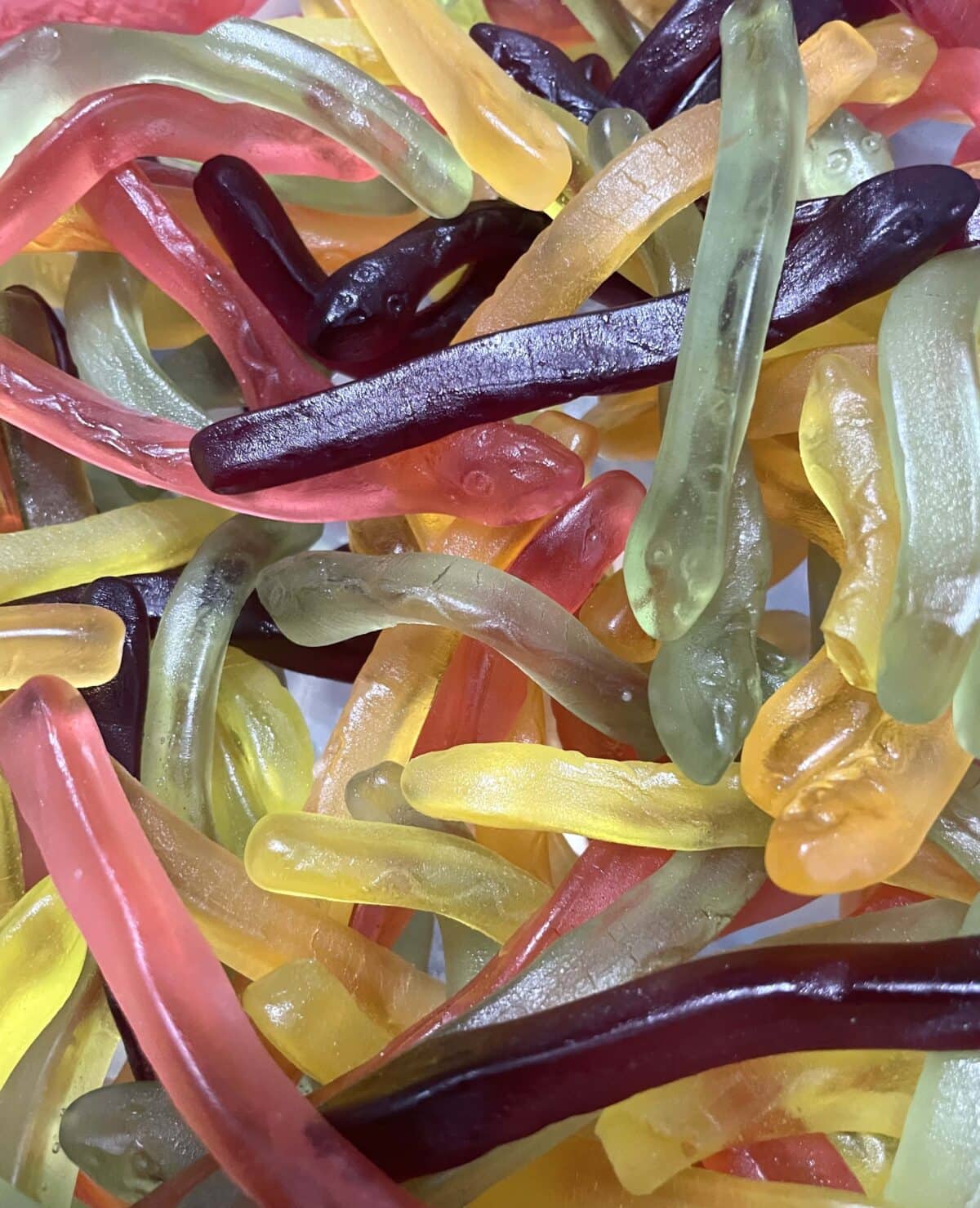 Jelly Snakes - The Candy Parlour